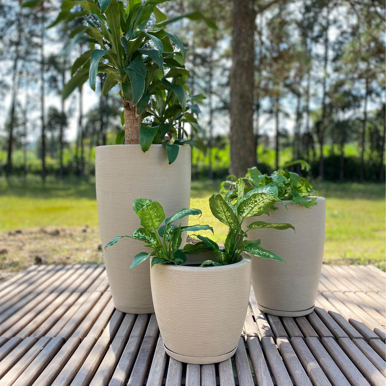 3 combinaciones perfectas para tus maceteros – Haussmark